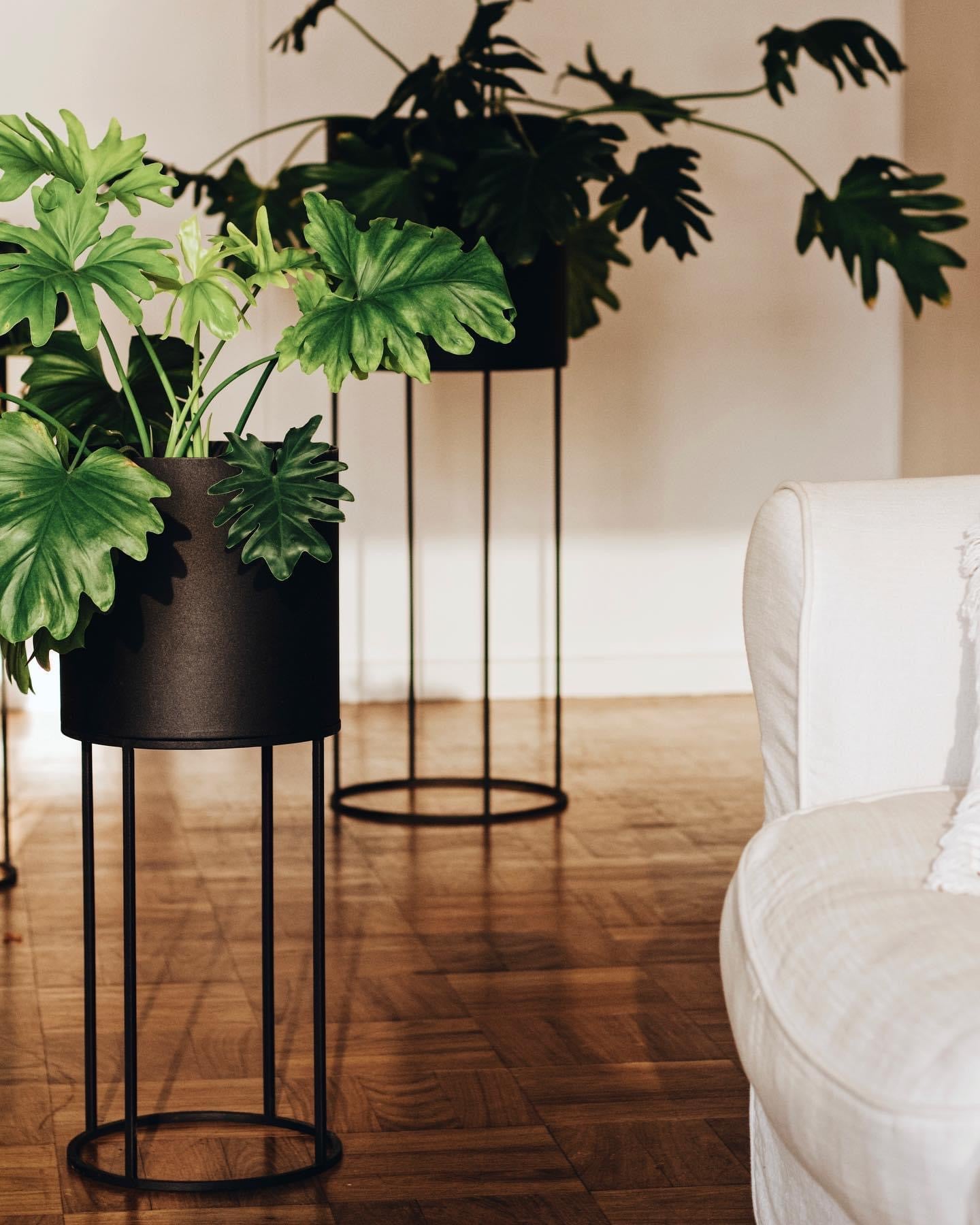 Steel Planters – Yellow Door Label