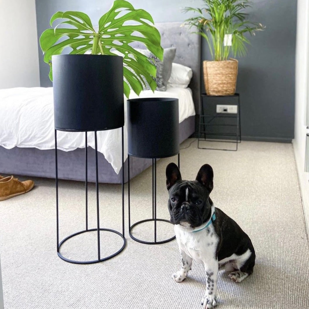 Steel Planters – Yellow Door Label